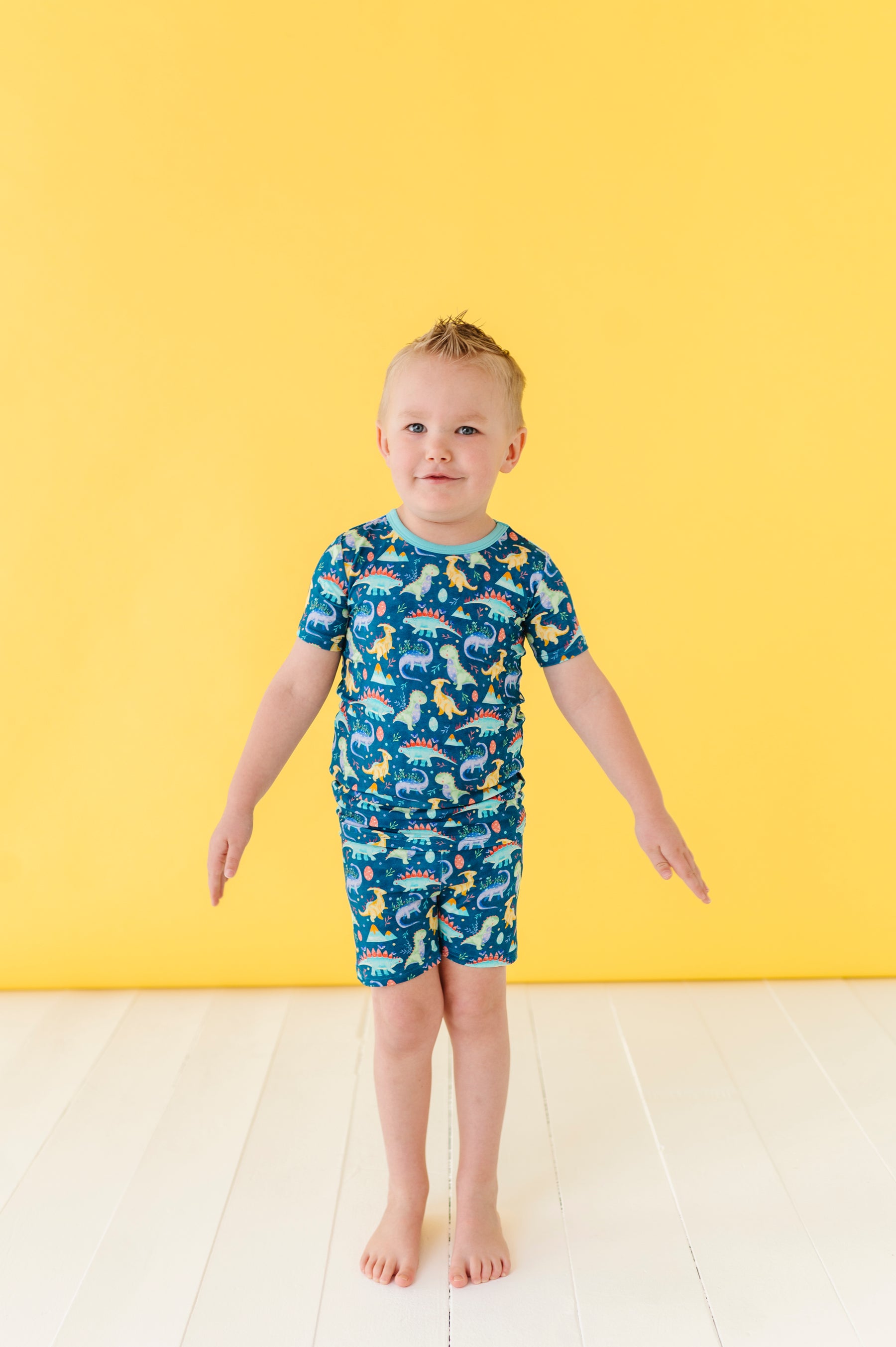 Airline Bassinet Seats and Weight Limit on Baby Bassinet on Flight.